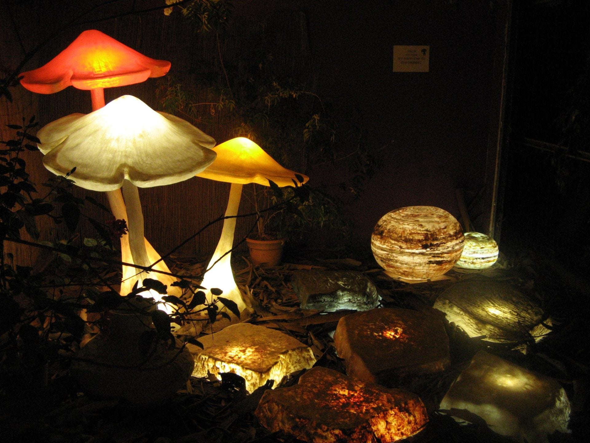 Illuminating Beauty: Using Garden Lighting to Elevate Your Outdoor Hav ...